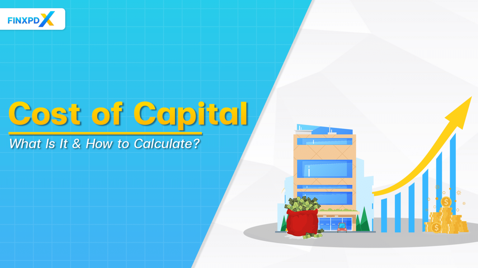 Cost of Capital: What Is It & How to Calculate?
