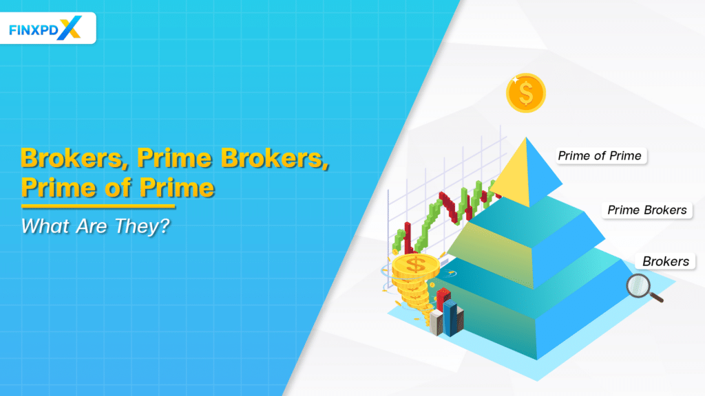 Brokers, Prime, and Prime of Prime: Traders Must Know - Financial