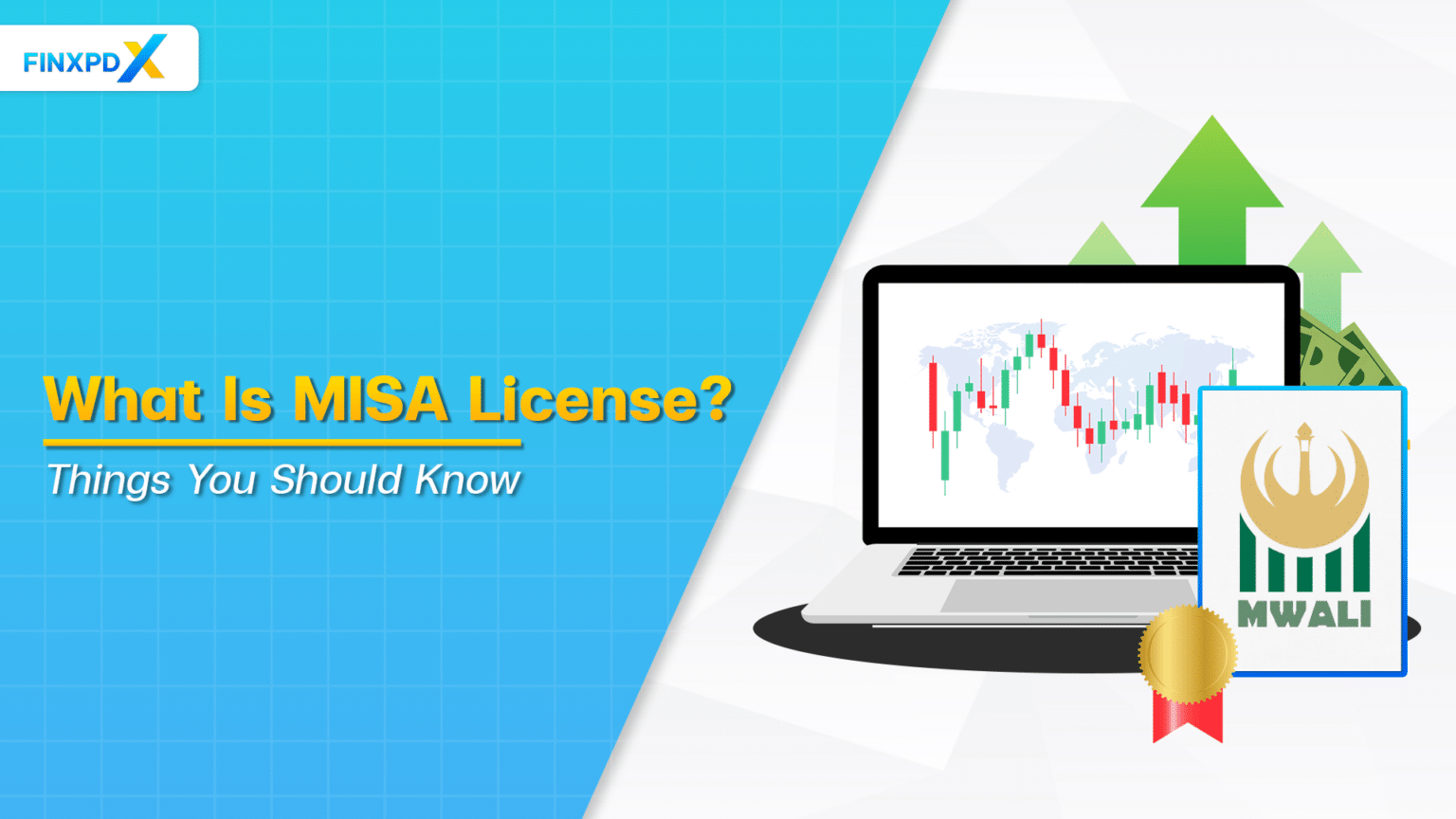 MISA License: The Importance and How to Get