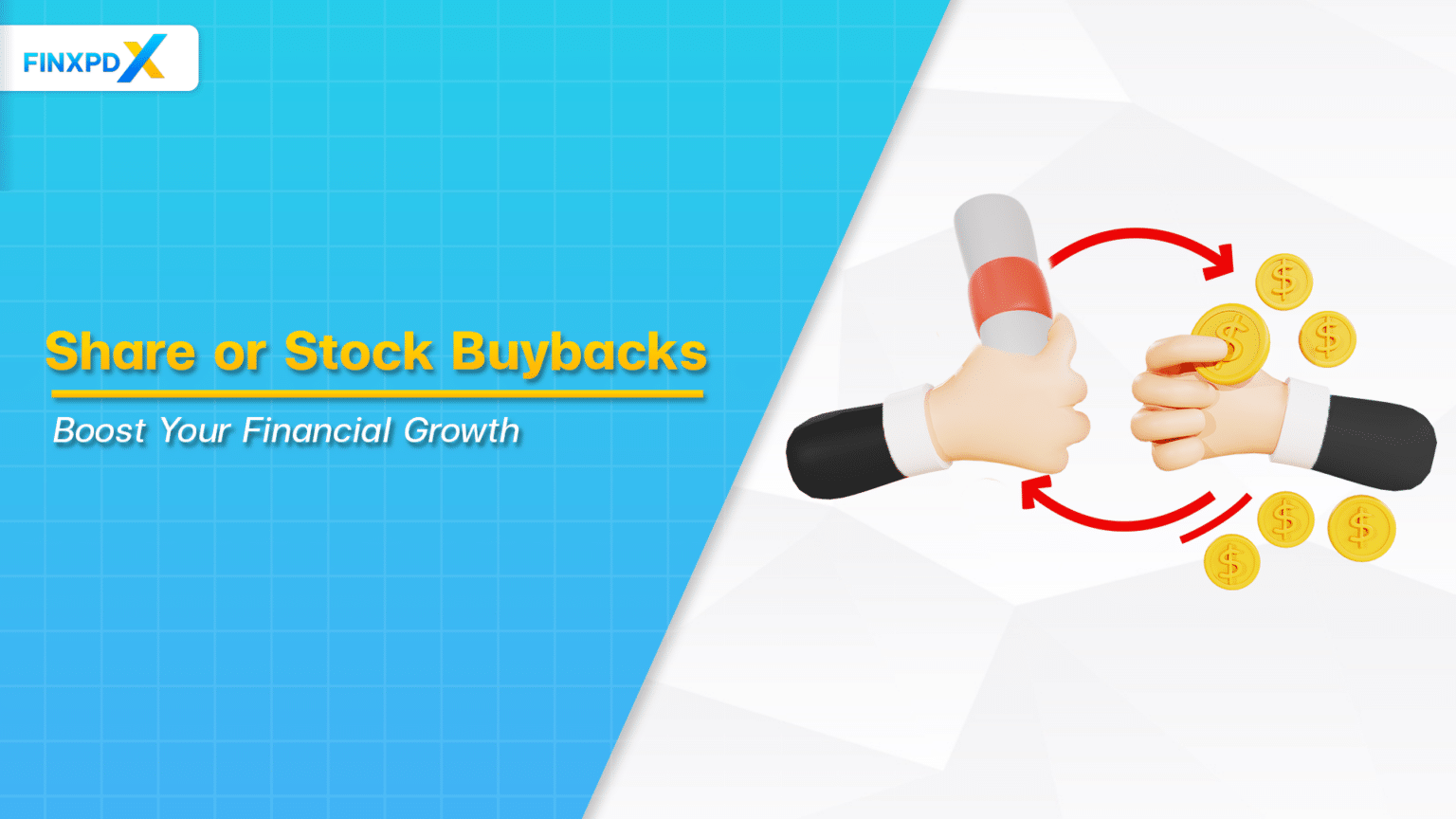 Share or Stock Buybacks: Boost Financial Growth
