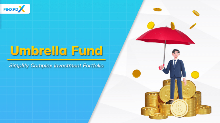 Umbrella Fund: Simplify Investment Portfolio